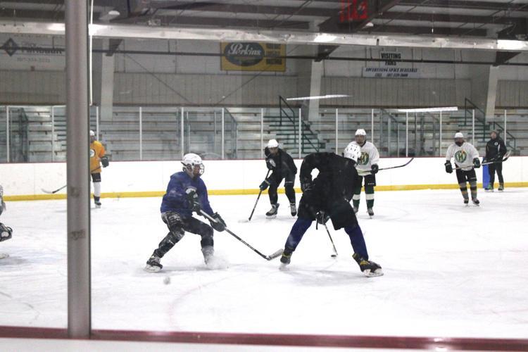 Faribault boys hockey sets sights on glory | Sports | southernminn.com