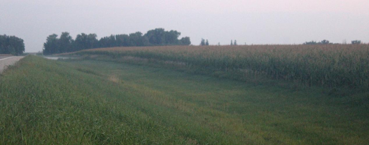 Rising heat, humidity hurts crops, people | News | southernminn.com