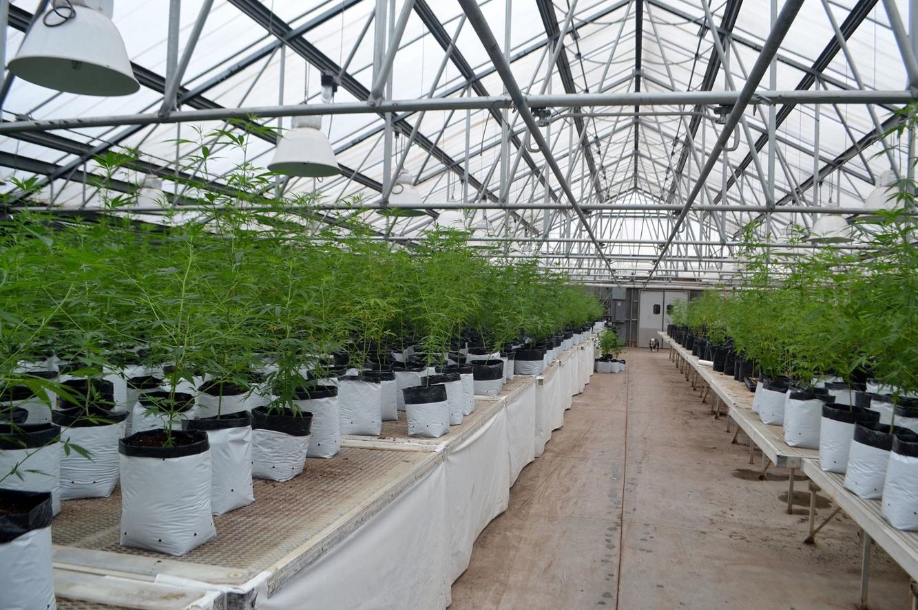 Waseca-based Midwest Extraction Services takes the lead in Minnesota ...