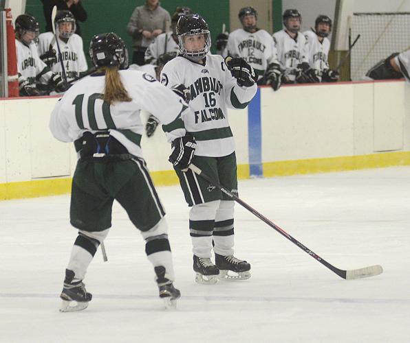 Strong out of the gates: Faribault High School girls hockey races past ...