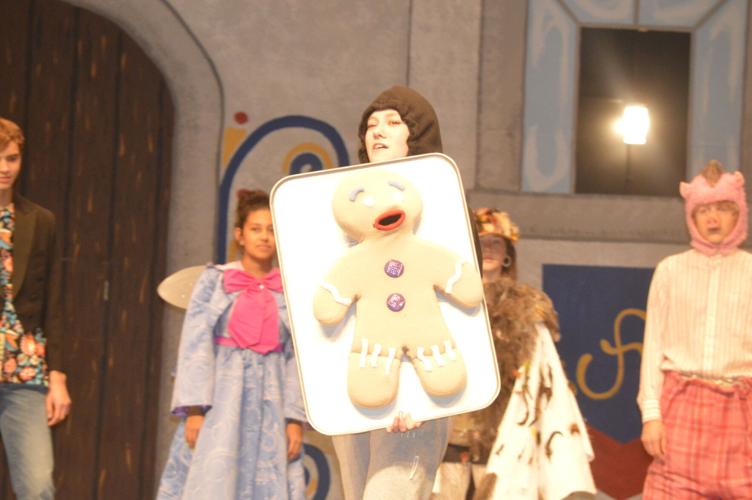 Shrek the Musical swamps the St. Peter stage | News | southernminn.com