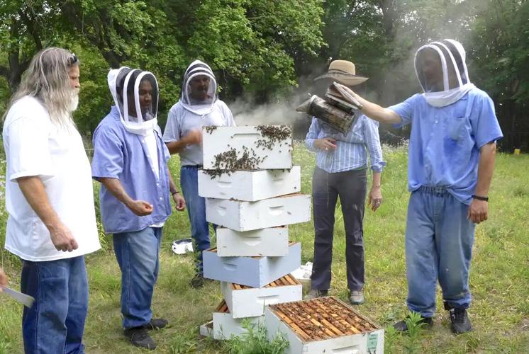 Beekeeping teaches Faribault prison inmates job skills, confidence ...