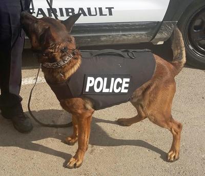 Faribault Police K9 Cannon gets his body armor | Community ...