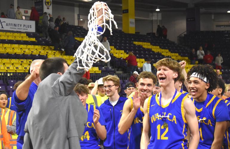 ONE GAME AT A TIME: Undefeated Bluejays beat Tigers for 2nd straight ...