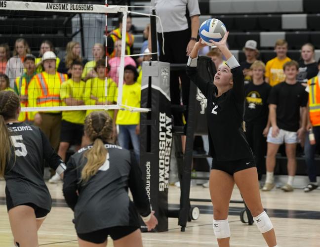 Awesome Blossoms debut new court with Senior Night sweep over Medford ...