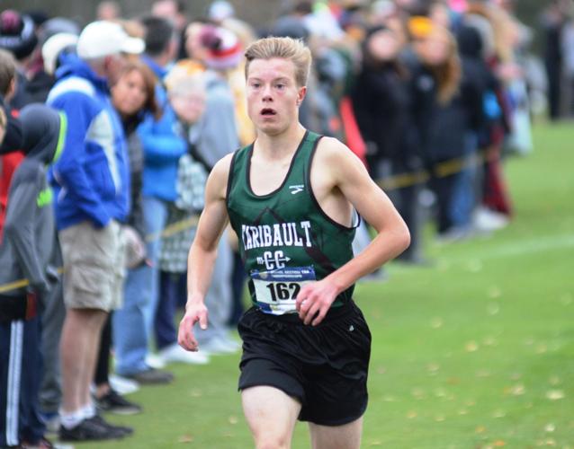 Falcons girls 8th, boys 14th at sections; trio narrowly misses state ...
