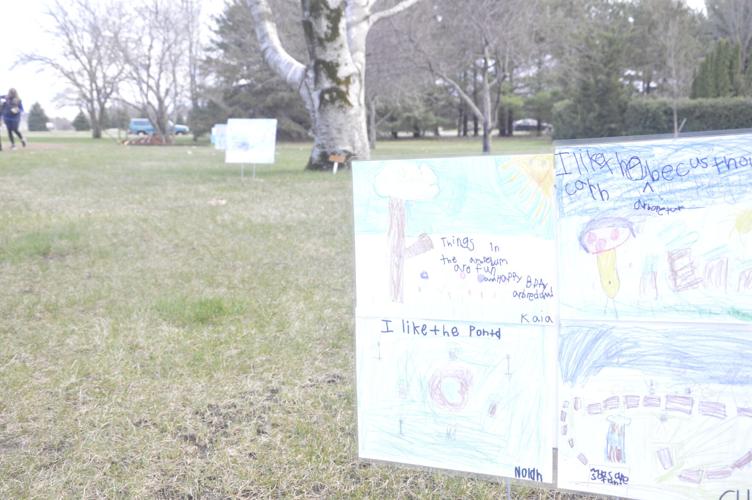 Tree planted in celebration of Gustavus Arboretum's 50th anniversary ...