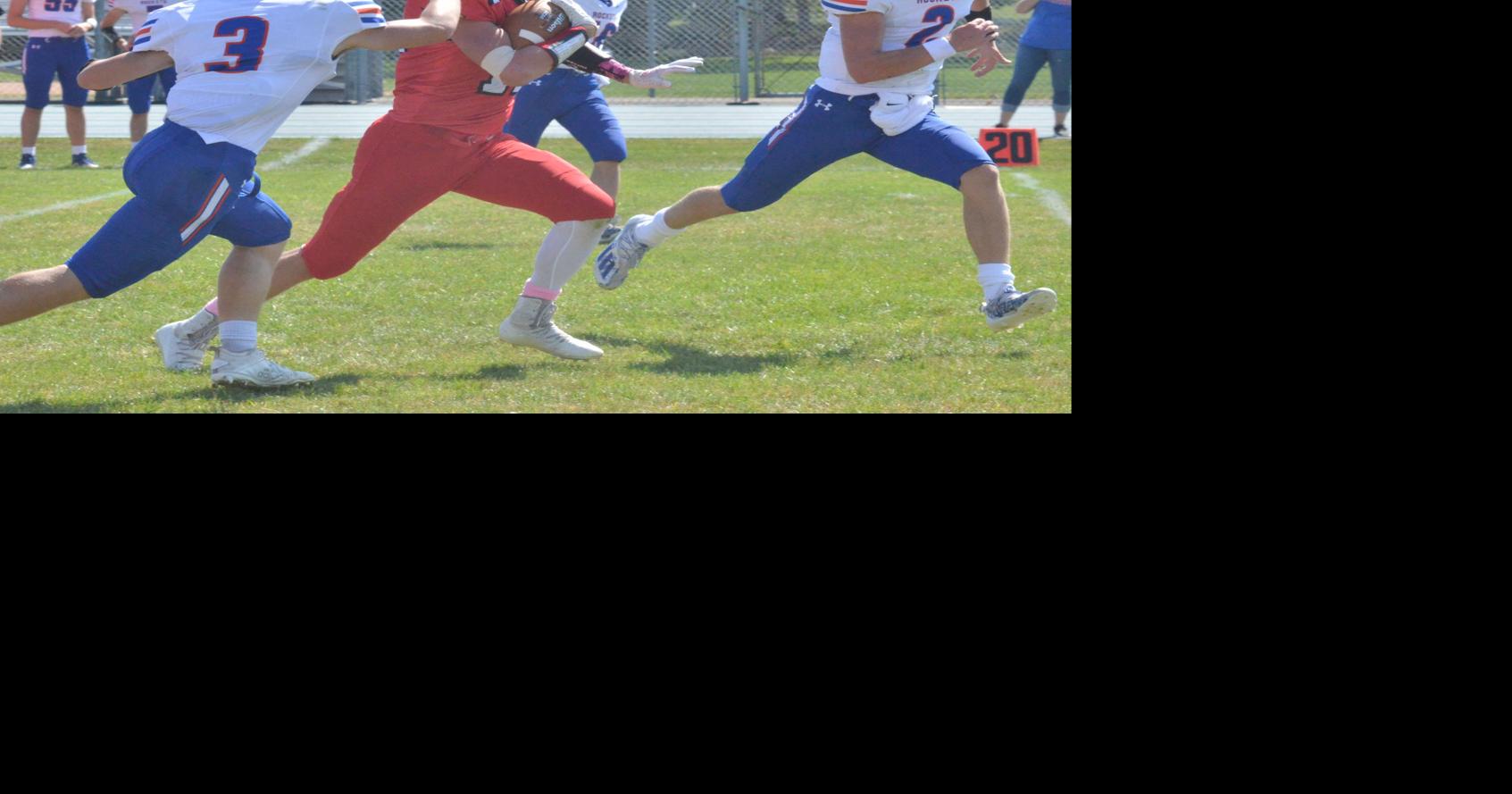 Announcing the Faribault Daily News All-Area football teams | Sports ...