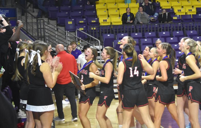 YEAR IN REVIEW: State champions, state runner-ups, and deep section ...