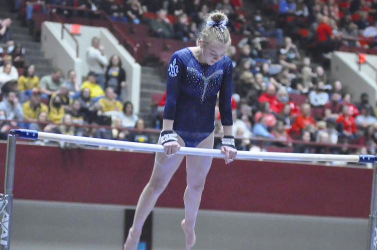 Tish, Landsom represent St. Peter in MSHSL state competition | Sports ...