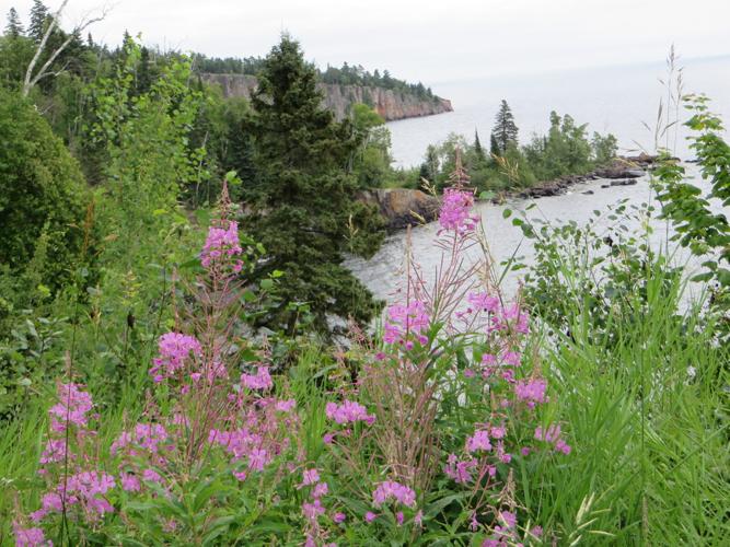 St. Olaf grad talks about hiking all 68 state parks | News ...