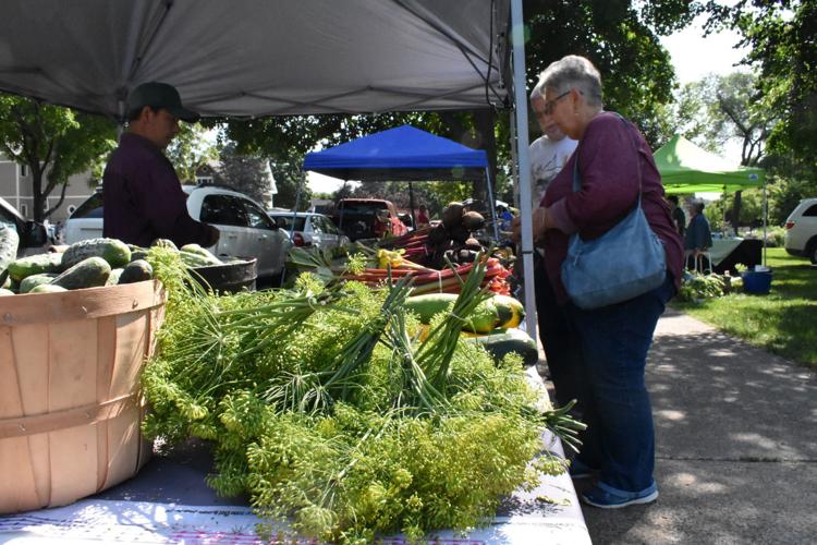 Summer's heat, rain push back corn and tomato season | News ...