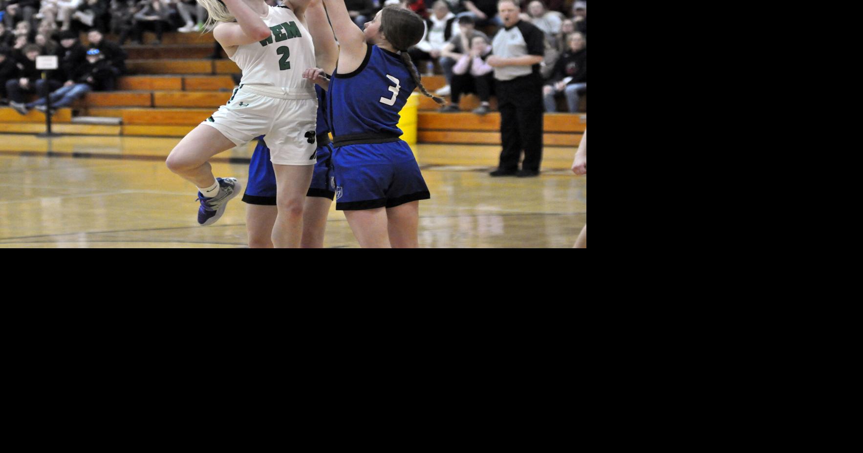 Area athletes fill up Gopher Conference boys, girls basketball lists ...