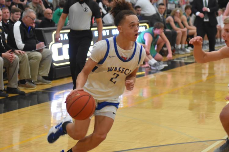 Introducing the Waseca County News All-Area boys basketball teams ...