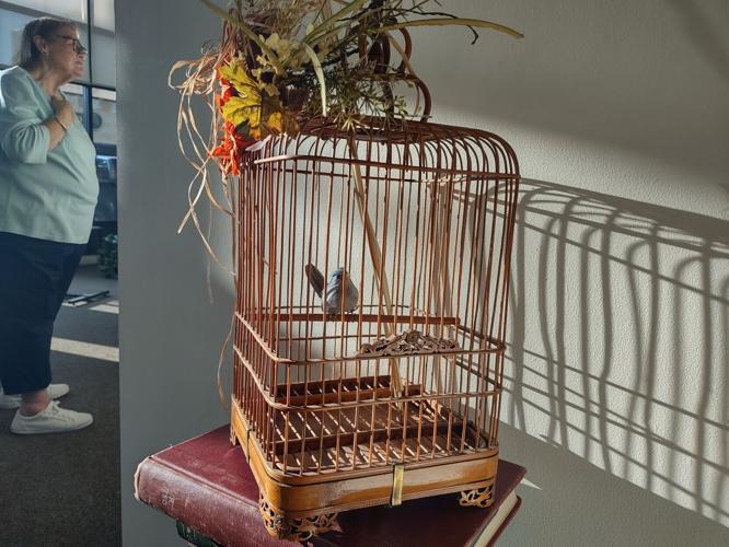 Waseca police chief's love for birds examined at Art Center's 'For the ...