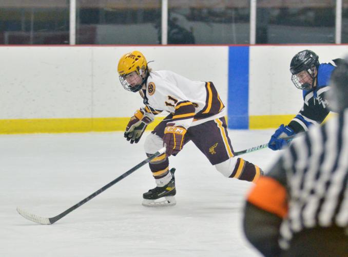 Top line fuels 1st sweep of Owatonna since 2015-16 season | Sports ...