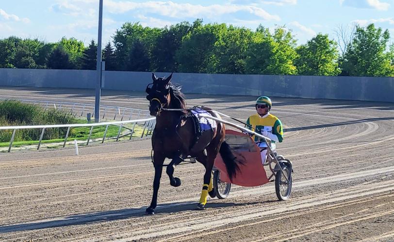 Harness racing quickly turns into a tradition for one Kenyon family ...