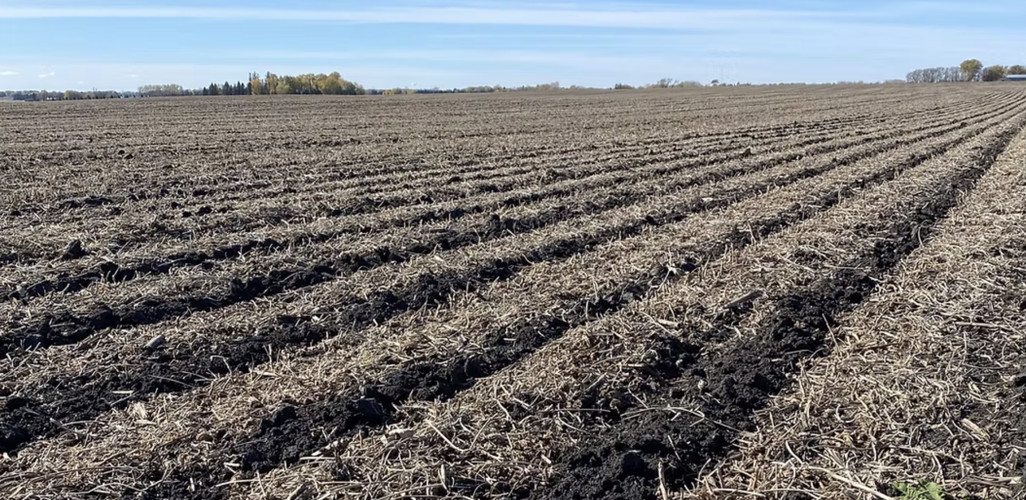 Local farmers encouraged to register for workshop on winter soil health ...