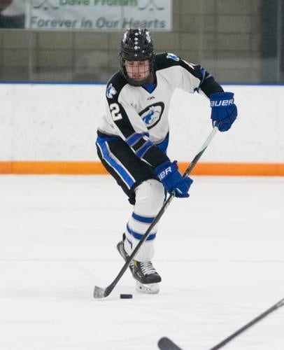 Owatonna hockey teams record pair of victories over Mankato West ...