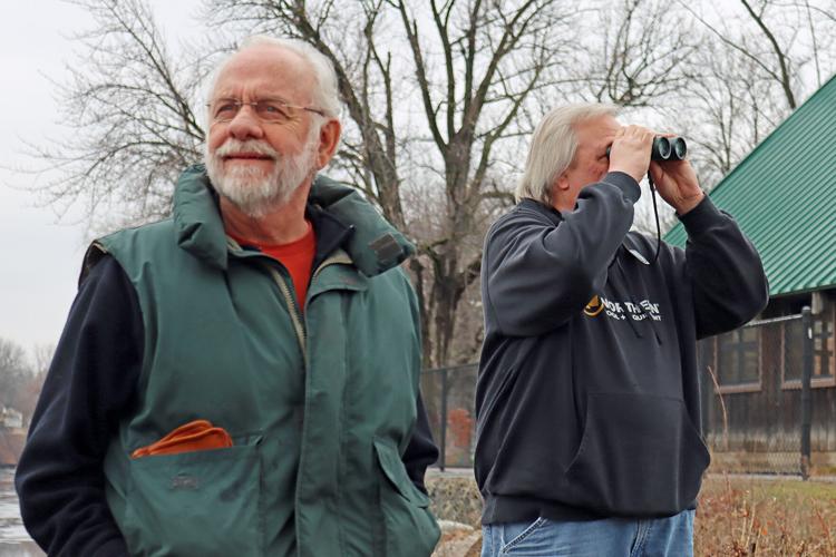 Local birders join annual Christmas Bird Count | News | southernminn.com