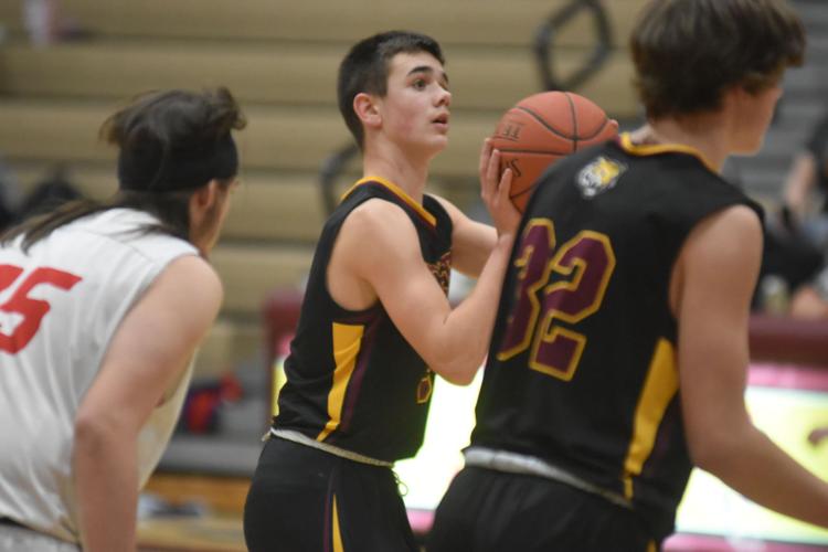 Introducing the Owatonna People's Press All-Area Boys Basketball teams ...