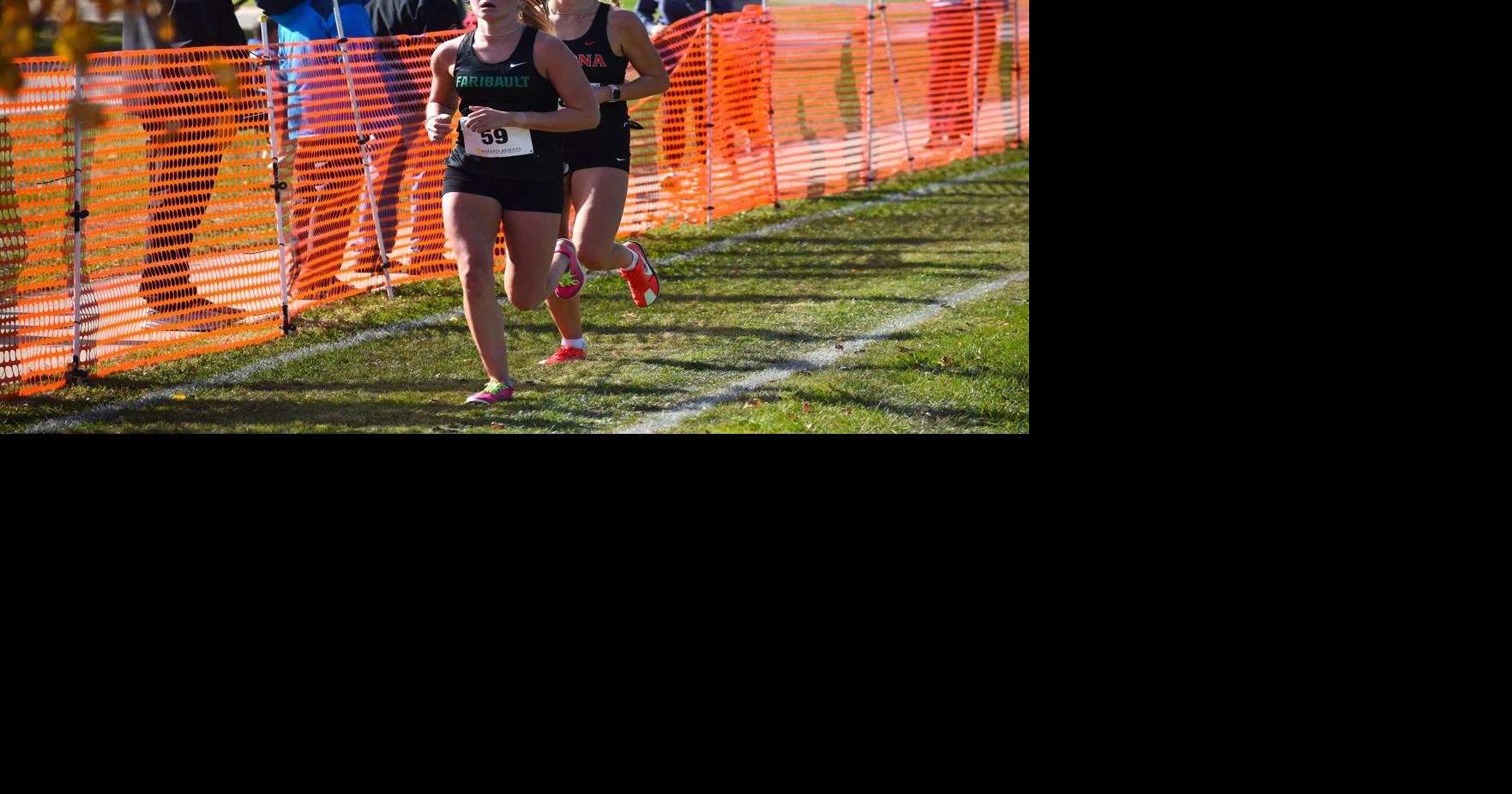 Area teams set to send two runners to state cross country competition ...