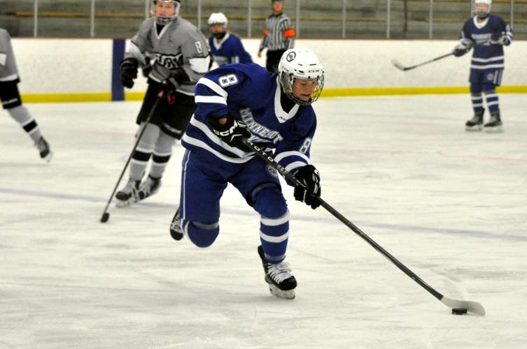 Bulldogs fall to North Shore in top 15 matchup | Sports | southernminn.com