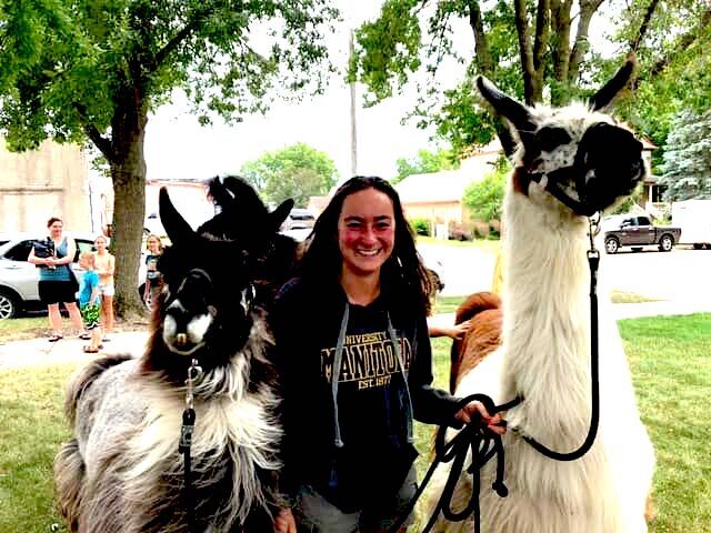 Janesville Library hosts Llovable Llamas | Community | southernminn.com