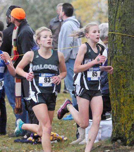 Faribault's Skjeveland, Tuma qualify for state cross country meet | Sports | southernminn.com