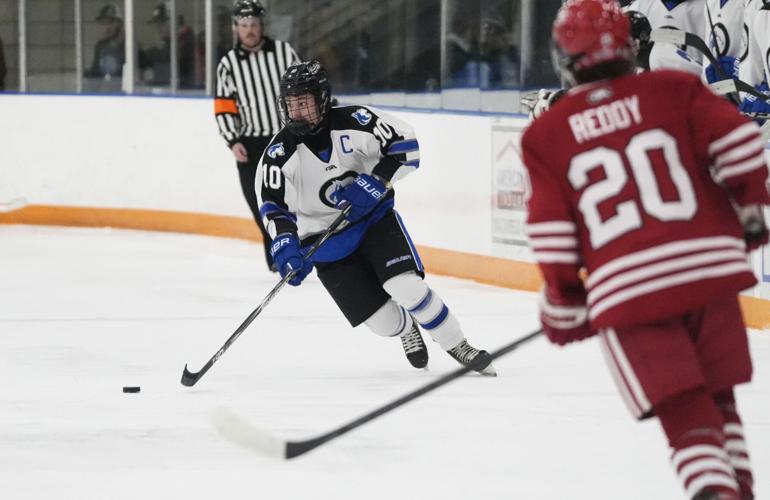 Owatonna hockey teams record pair of victories over Mankato West ...