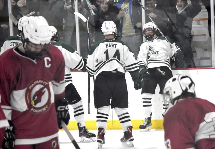 Faribault boys hockey wins over Fairmont in high scoring game | Sports ...