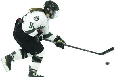 2014-15 season preview: Faribault High School girls hockey | Sports ...
