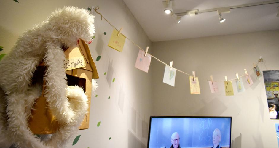 Elementary counselor who used puppets in lessons featured in new ...