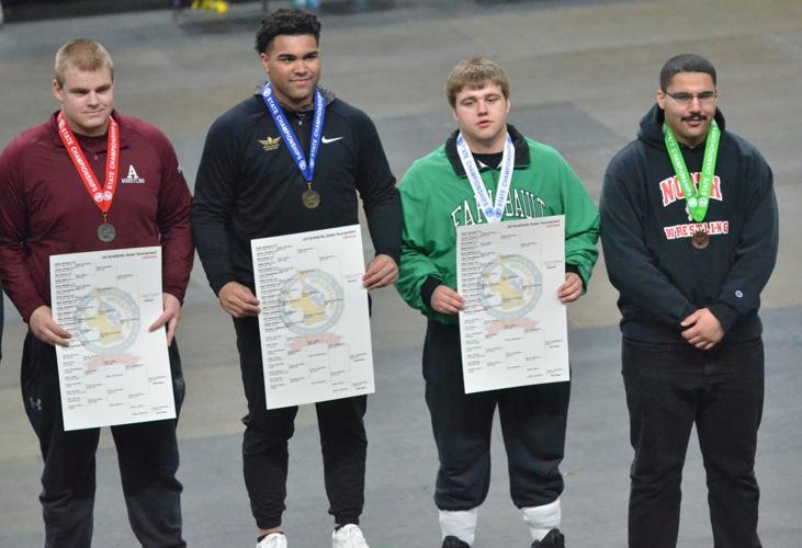Faribault's McEachran and Van Ryn end careers as all-state wrestlers ...