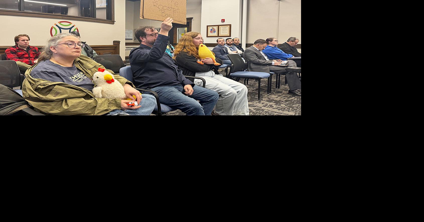 Owatonna unanimously approves ban of roosters within city limits | News ...