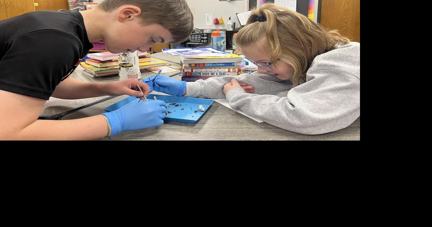Students have a hoot learning about the food chain | Community ...