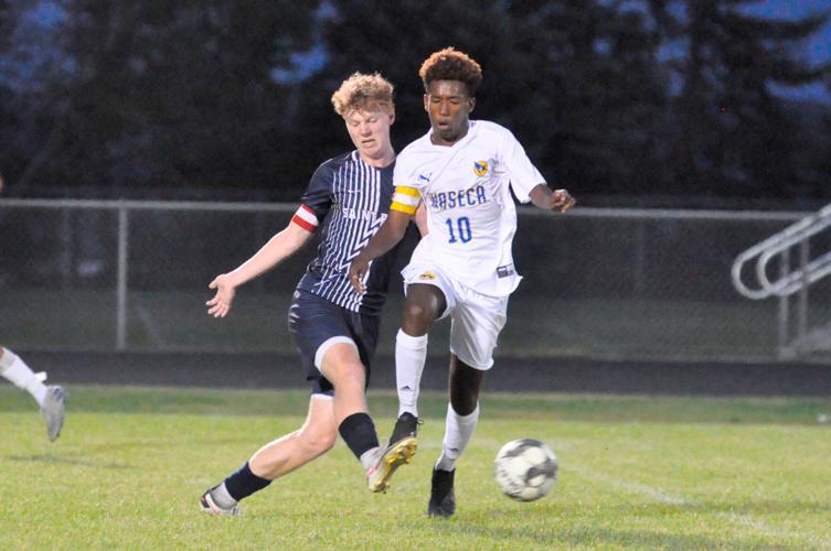 Waseca girls soccer splits 2 games; boys drop a pair | Sports | southernminn.com