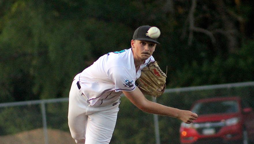 Northfield Knights knock out Hastings | Sports | southernminn.com