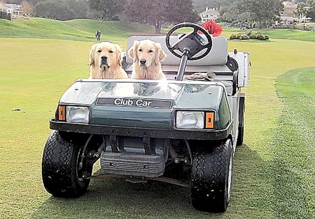 OWATONNA PARKS AND RECREATION: Keeping up on Brooktree Golf Course and ...