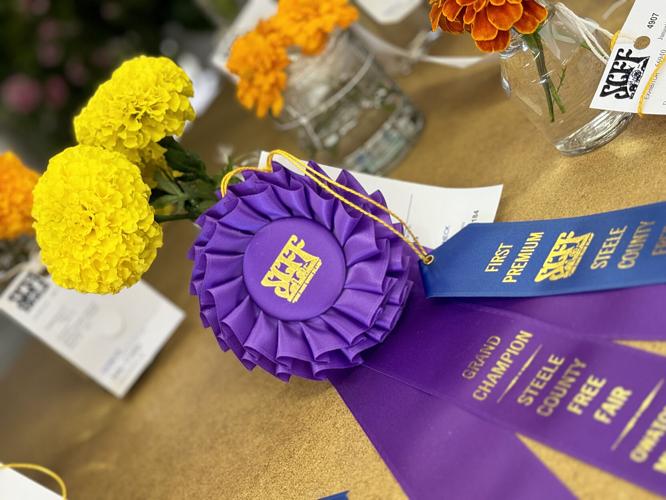 PHOTOS: SCFF Adventures to Explore in 2024 | News | southernminn.com