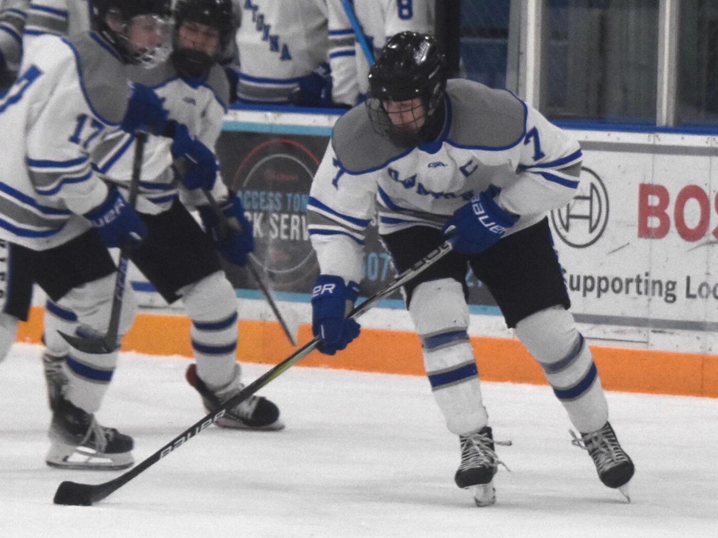 Huskies pull off upset win in section quarterfinals against Panthers ...