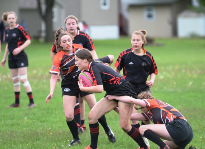 Wolverines Rugby Club growing in numbers, chemistry | Sports ...