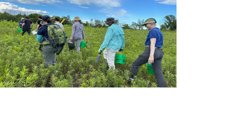 Faribault Daily News | southernminn.com