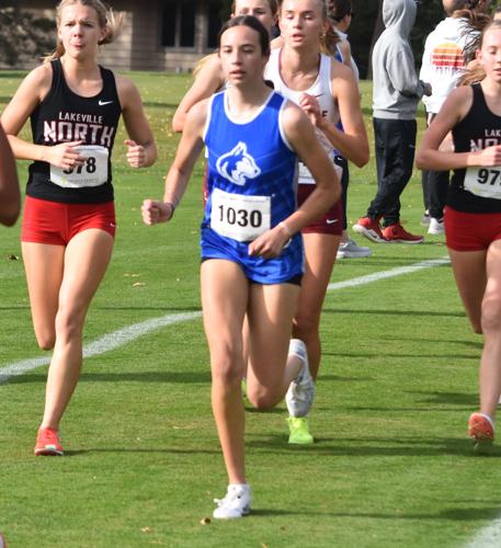 Huskies punch tickets to state as a team, while Leckner finishes in top ...