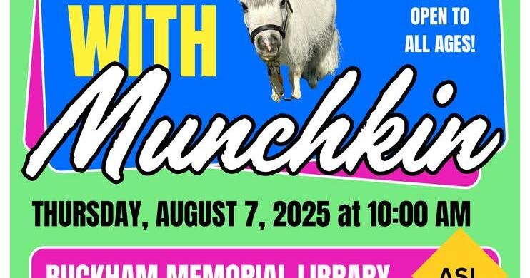 Munchkin the Mini Horse - Faribault | Scene | southernminn.com