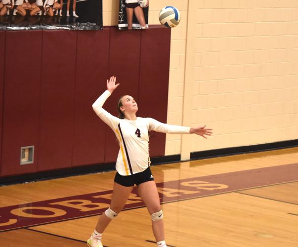 Tigers win thriller against Cobras to advance to section quarterfinals ...