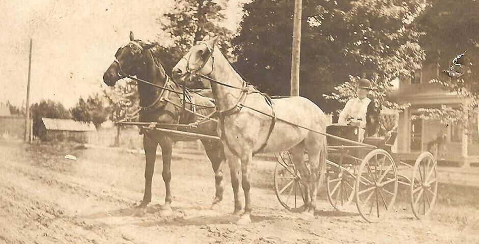Murphy family farming the same Rice County land for more than 160 years ...