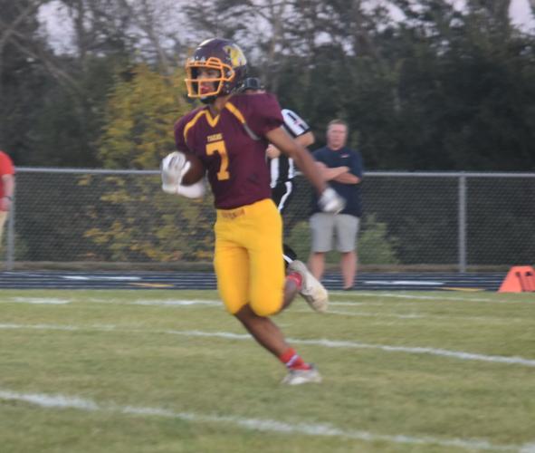 Tigers lose in Homecoming game against Rebels | Sports | southernminn.com