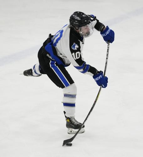 Seniors lead scoring in Senior Night tie; Huskies earn Section 1AA No ...