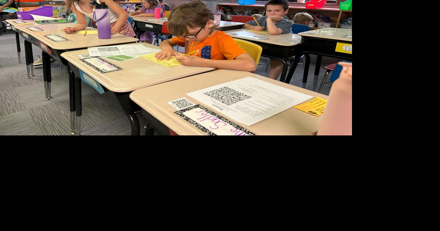 St. Peter Schools meets most academic goals, but achievement gap ...